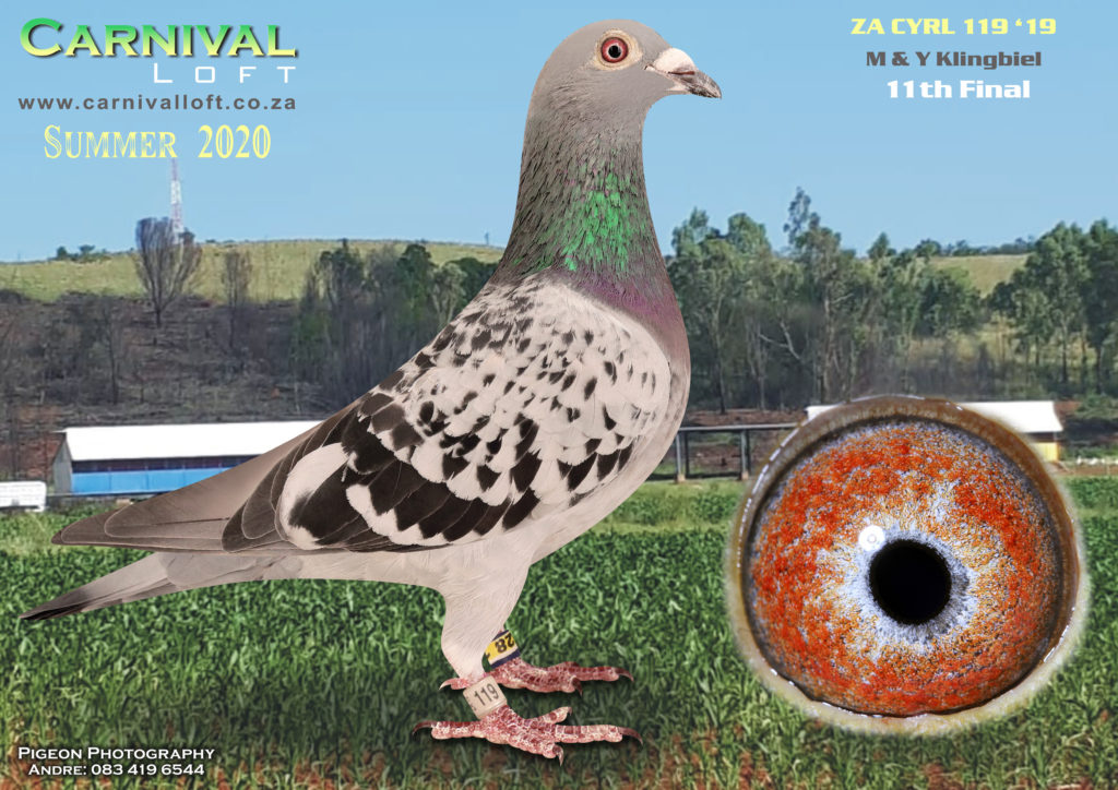 CLOSED…………….AUCTION CLOSED…………… CARNIVAL LOFT PRE-BIDDING end 29 ...