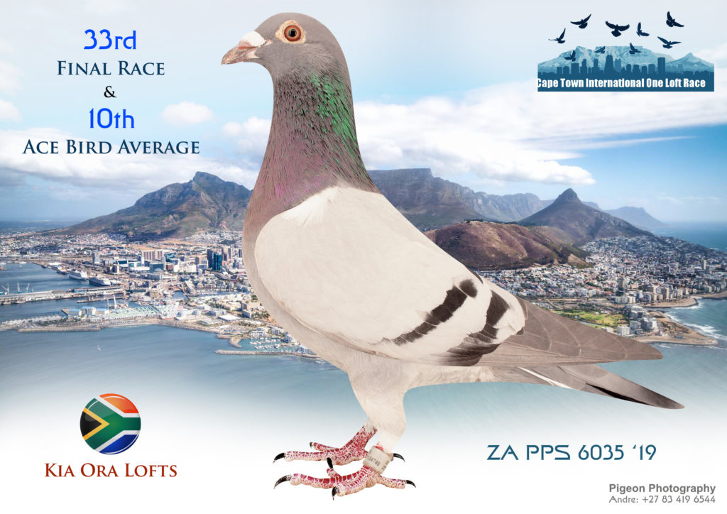 TOP TEN AVERAGE – LOT 33 – CAPE TOWN International OLR – ZA 19 PPS 6035 ...