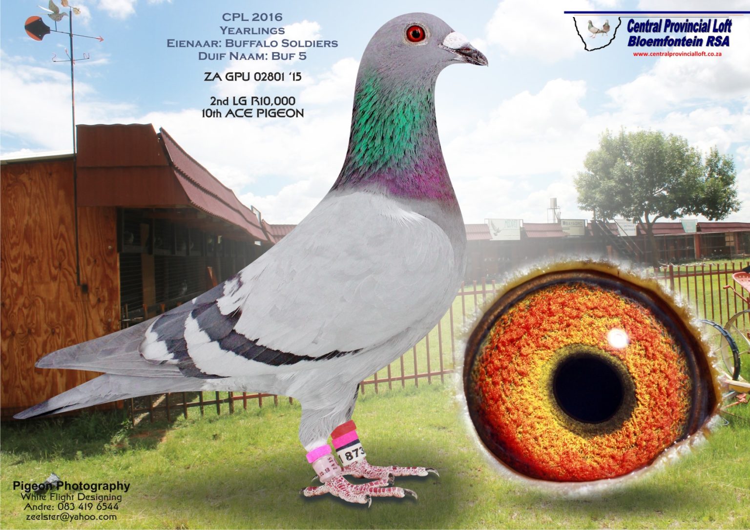 Lot 1 Dieplaagte Team – Flip and Chris Badenhorst – DPL LOFTS 20 2020 – Both parents are One Day ...