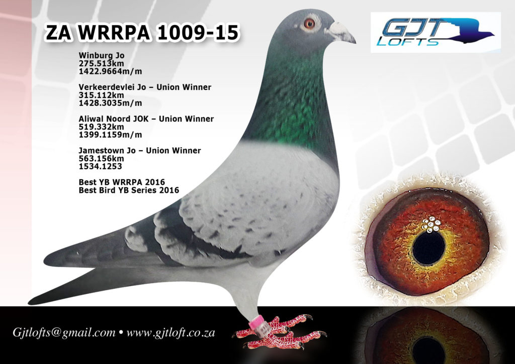 CLOSED————–ACTIVE AUCTION—————————–“CHIPO AUCTION”—-BENCHMARK LOFTS ...