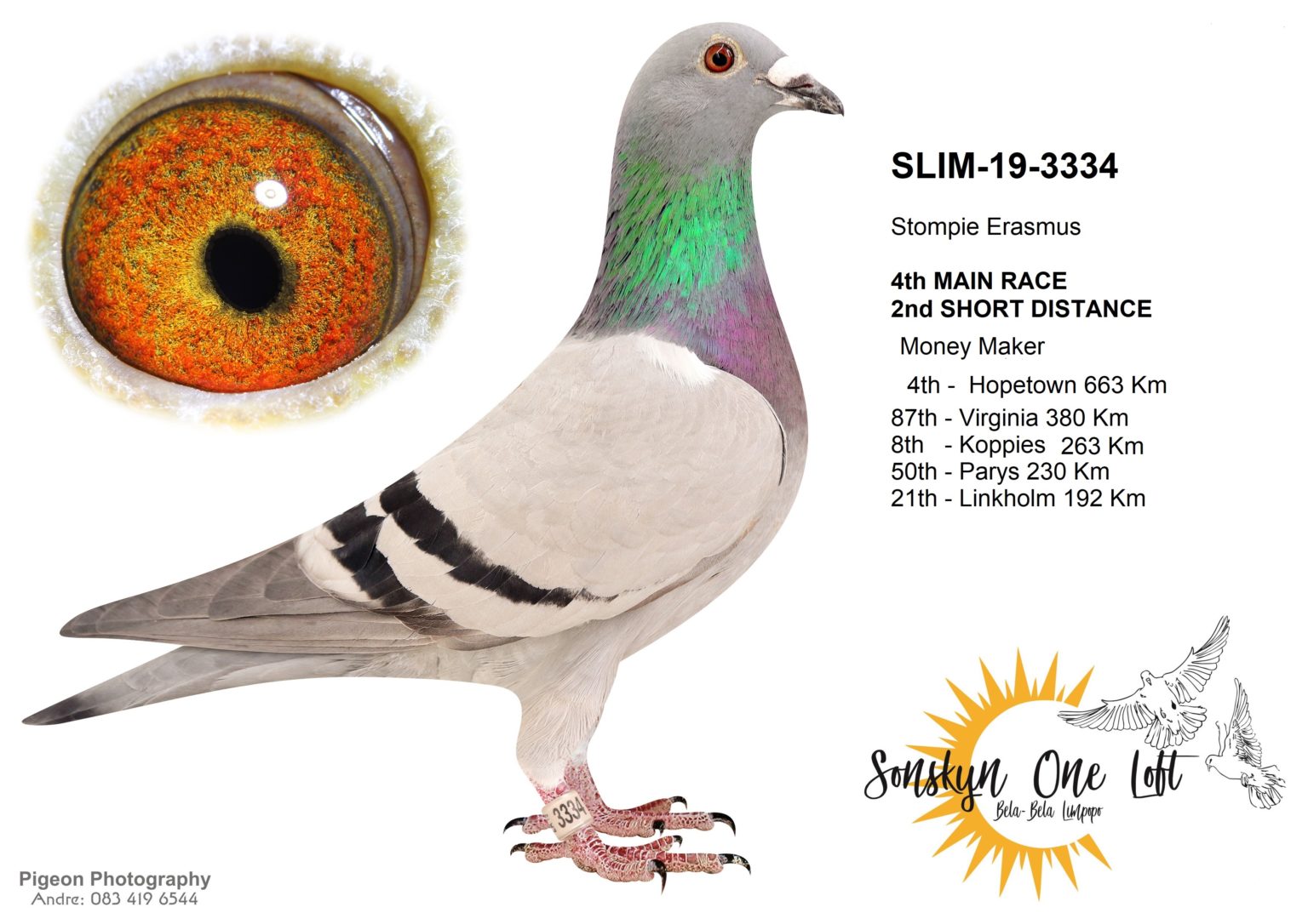.LOT 4 Sonskyn One Loft – 2019-SLIM-3334 – INBRED BROTHER AND SISTER ...