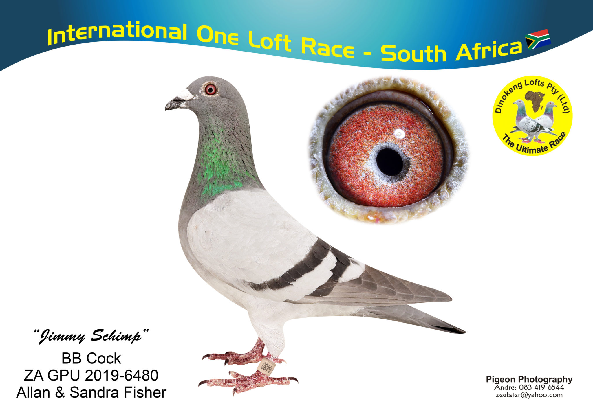 .LOT 2 – Dinokeng Lofts – ZA GPU 2019 6480 JIMMY SCHIMP COCK – STRAIN: CROXFORD & GABY SIRE: 12 ...