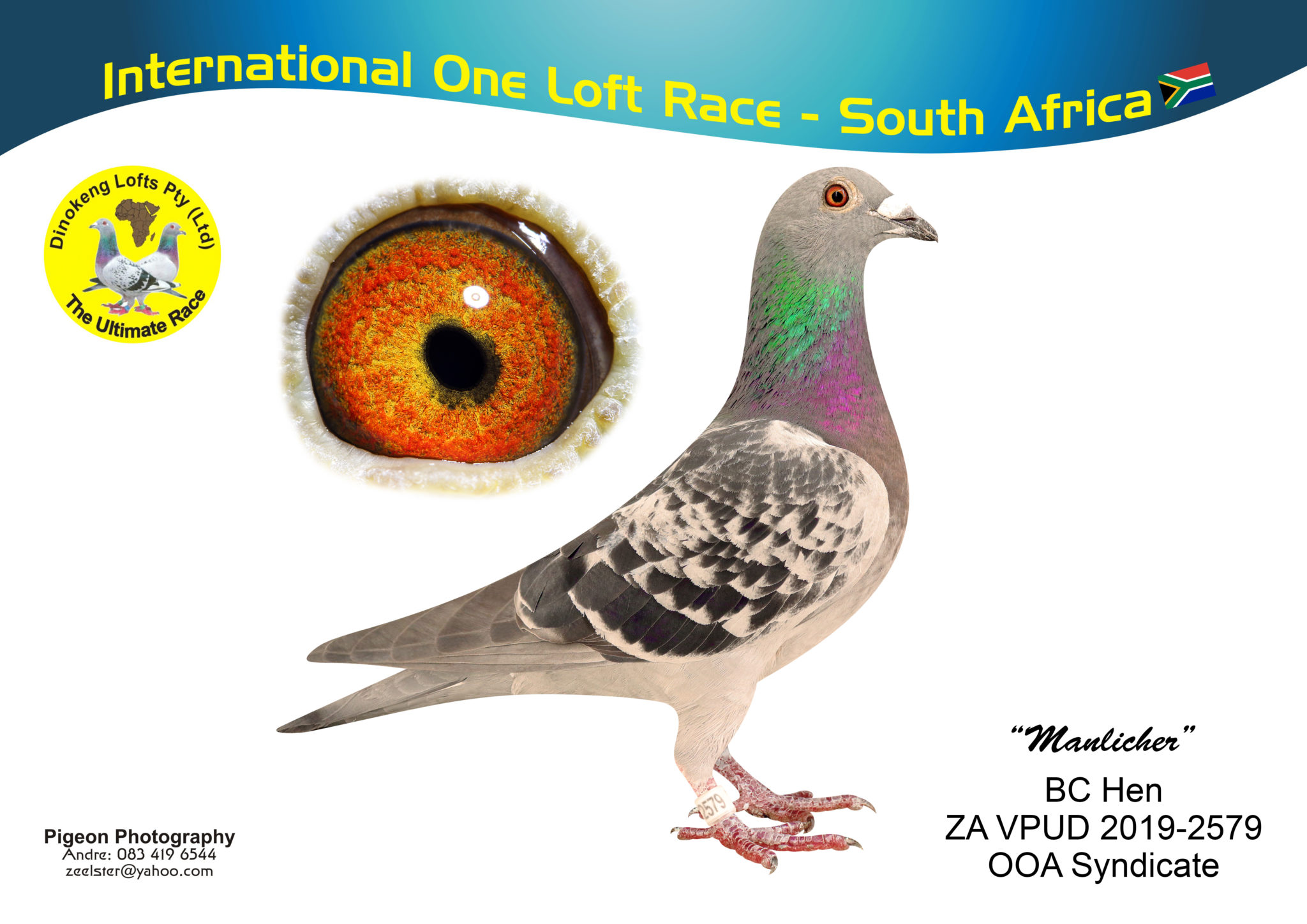 LOT 20 – Dinokeng Lofts – ZA VPUD 2019 2579 MANLICHER HEN – STRAIN: SIRE: Alias “BUF 2- bro 2nd ...