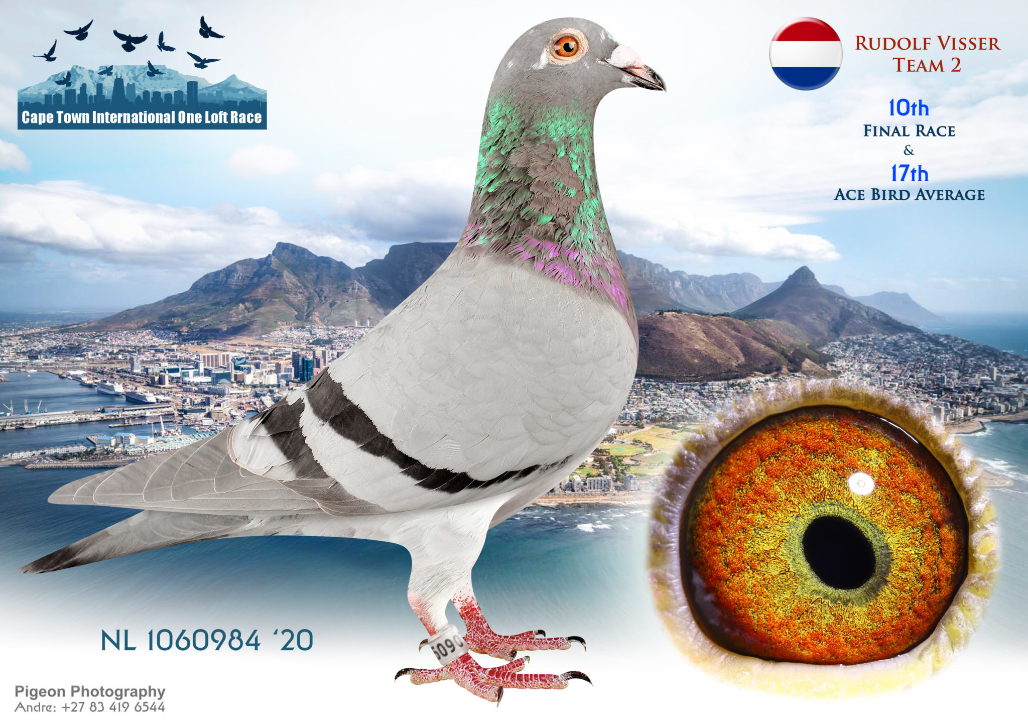 .Lot 7 Racing Silver Back Stud-NL 20 1060984 BB-10TH FINAL 17TH ACE ...