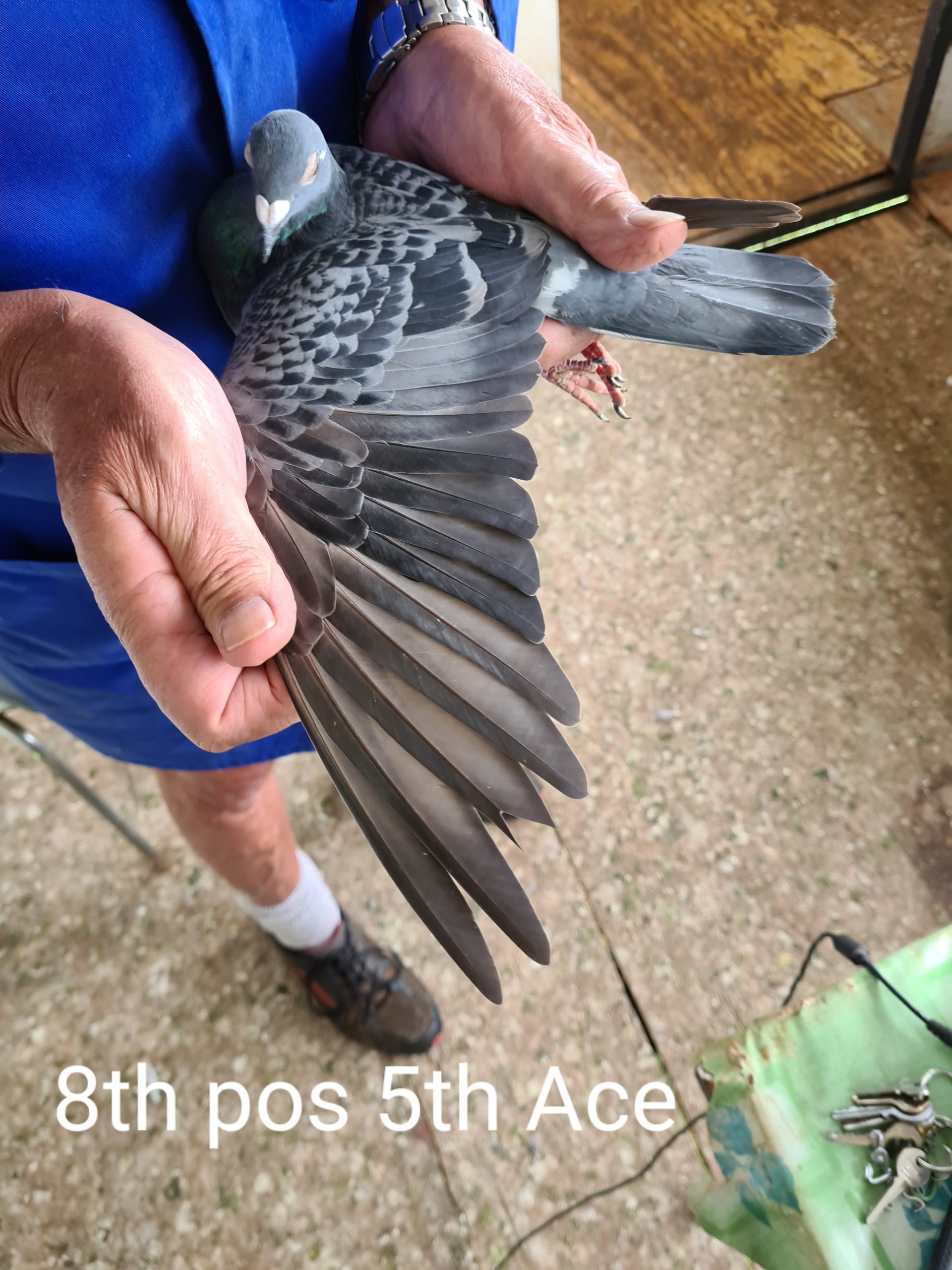 .LOT 8 – Carnival Lofts – Dieplaagte Sterkfontein & Stratus Lofts – ZA-2020-GRPF-2113 HEN – 2020 ...