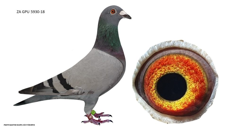 CLOSED AUCTION – BILLY KITCHENBRAND VIP BENCHMARK AUCTION – from 19 ...