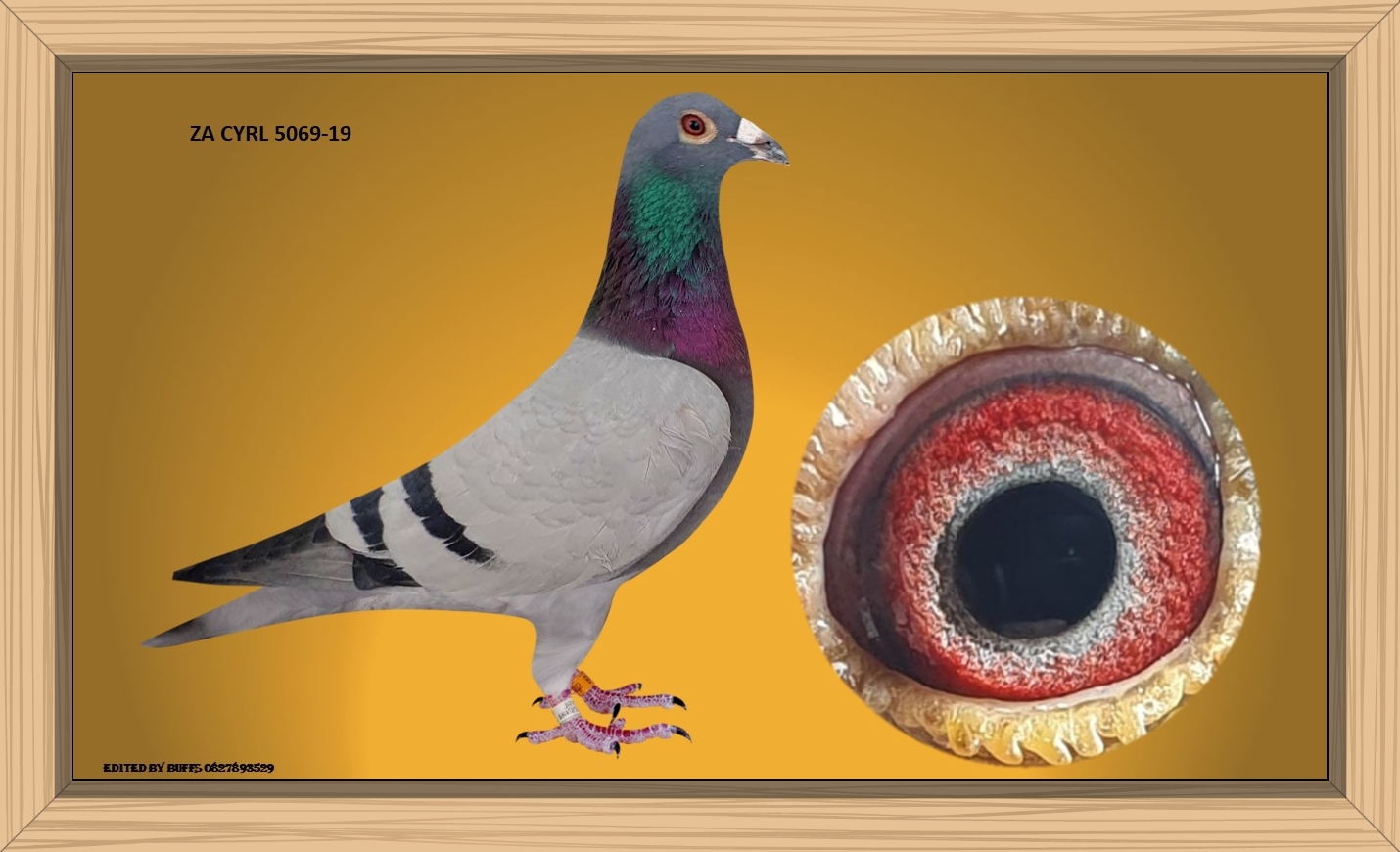 BILLY KITCHENBRAND LIVE NOW! READ MORE…