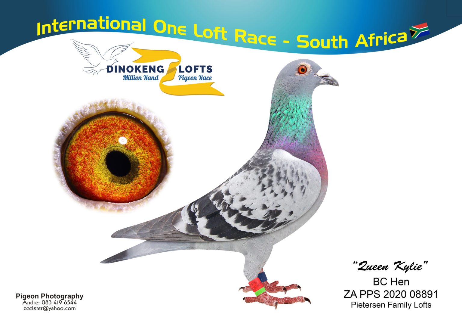 LOT 16 – DINOKENG LOFTS KOSMOS ZA PPS 08891 20 – PIETERSEN FAMILY LOFTS ...