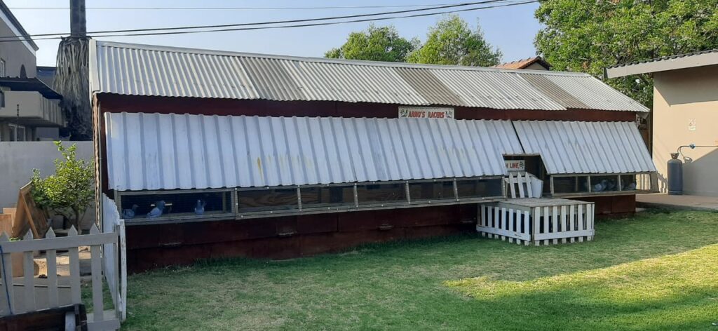 Active Auction-Willie Engelbrecht/Arno’s Racers Racing Lofts Auction ...