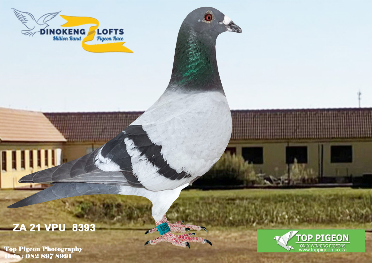 Lot 14 Dinokeng Pre-Bidding-Out of Africa Lofts-ZA VPU 21 8393 BBWF C – “SAILING JADON” 67TH ...
