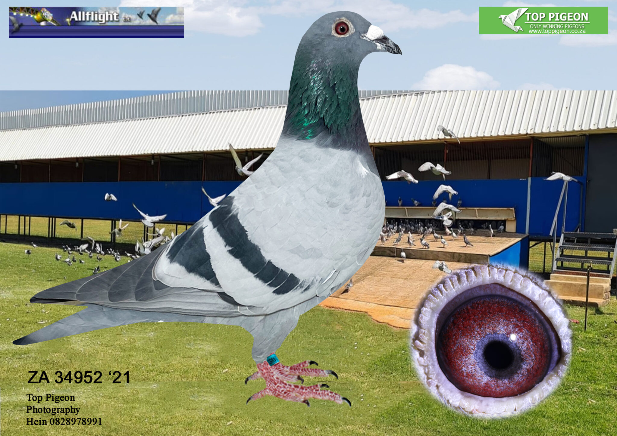 .Lot 1 Carnival All Flight Pre-Bidding Hendrik & Daniel Moller ZA 21 ...