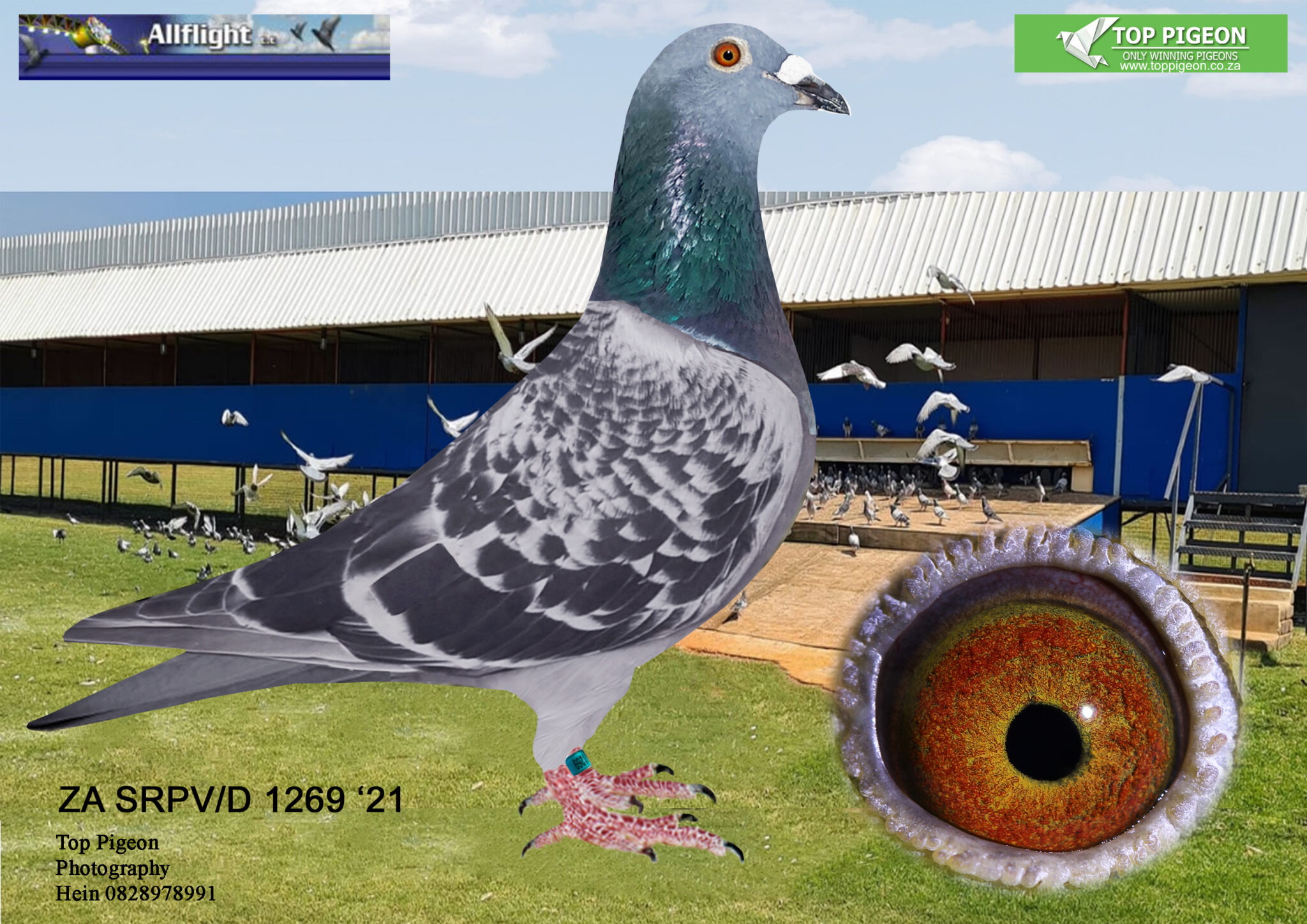 Lot 48 Carnival All Flight Pre-Bidding FW MUNNIK ZA SRPV D 21 1269 C ...