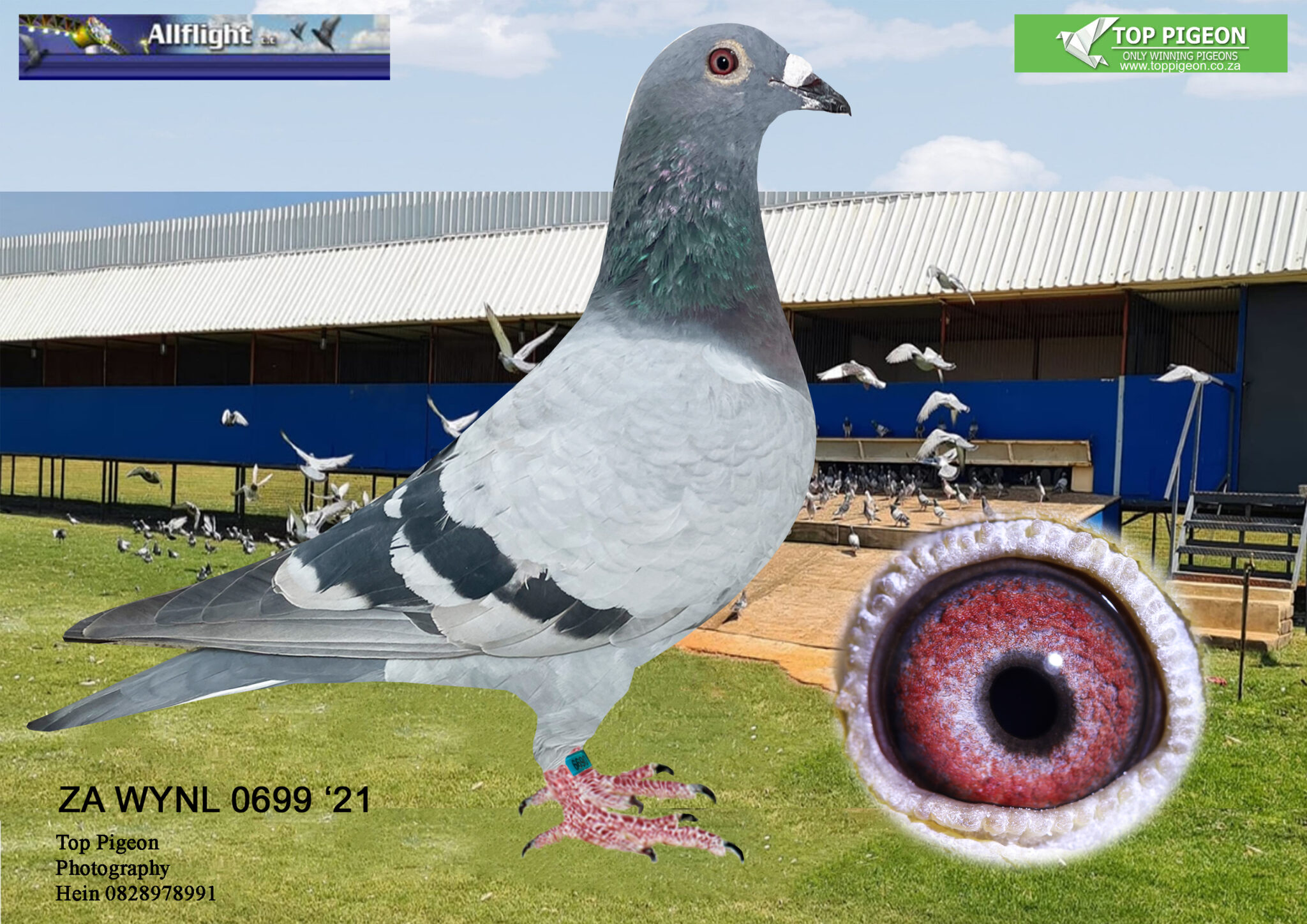 .Lot 4 Carnival All Flight Pre-Bidding Peter Smith Kaasboer Lofts ZA WYNL 21 699 H – 111TH MAIN ...