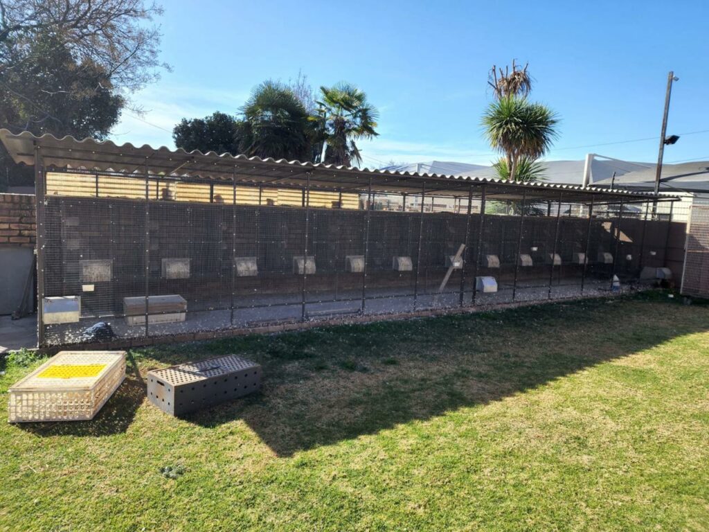 Lot 3 Very Practical 12 Single Breeding Pens – Ex Kitchenbrand Lofts ...