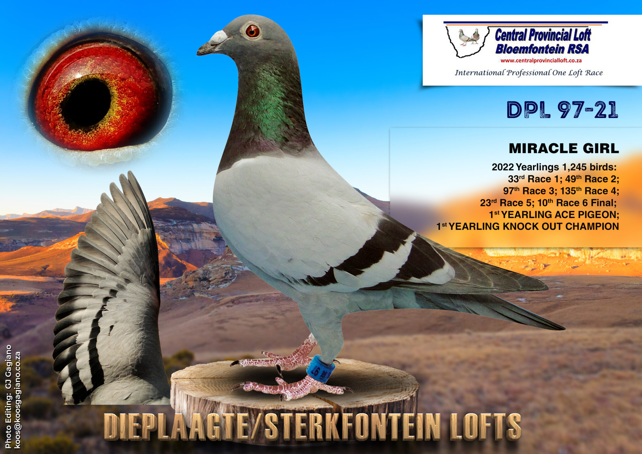 .Lot 1 Central Lofts-Dieplaagte & Sterkfontein Lofts-DPL Lofts 97 21 BB H—–“MIRACLE GIRL” 1st ...