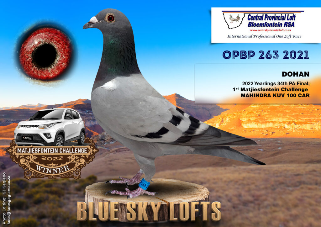 .Lot 3 Central Lofts-Blue Sky Lofts-OPBP 263 21 BB C—- “DOHAN” 1st ...