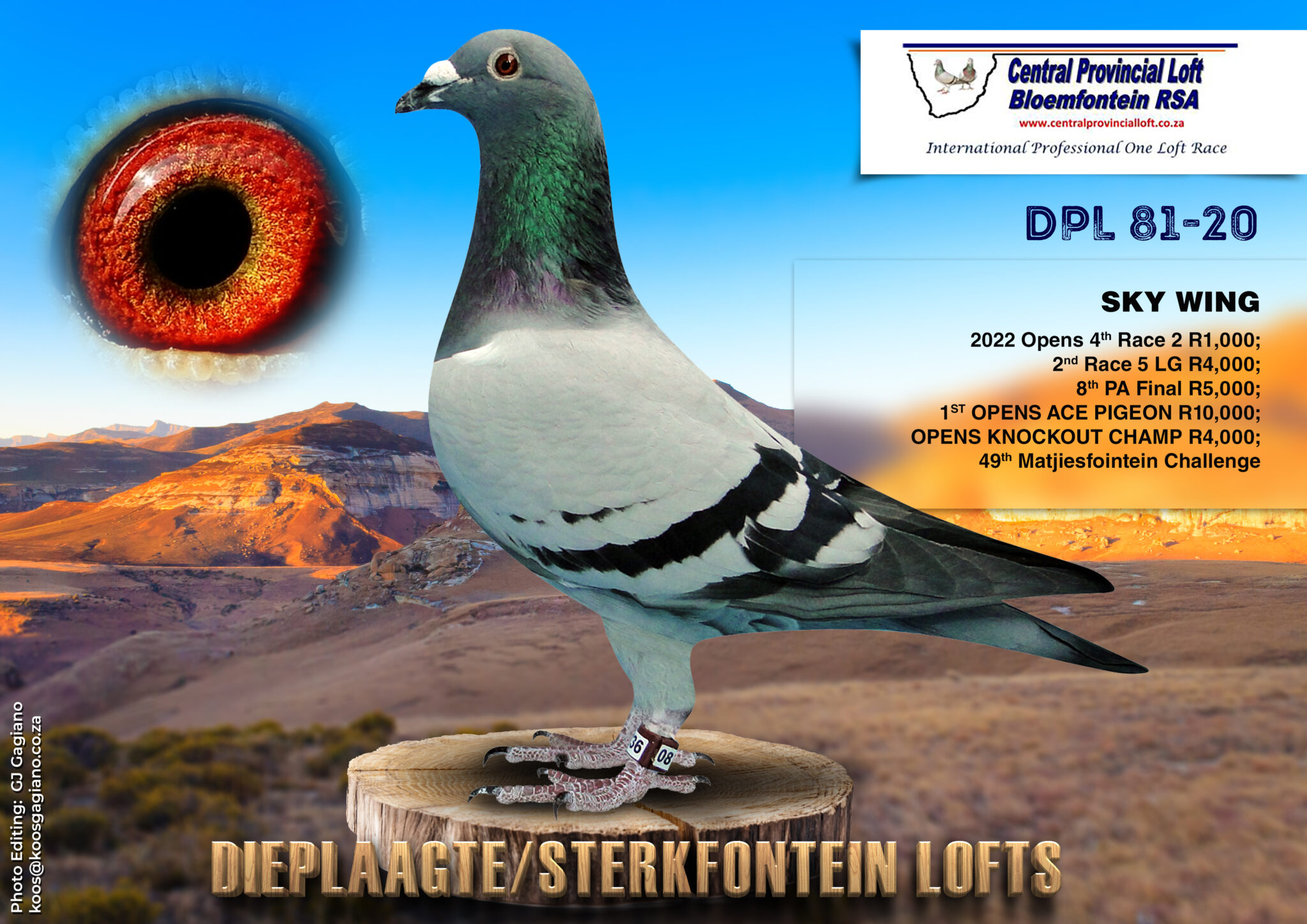 .Lot 4 Central Lofts-Dieplaagte & Sterkfontein Lofts-DPL Lofts 81 20 BB H—- “ANGEL WINGS” 1st ...