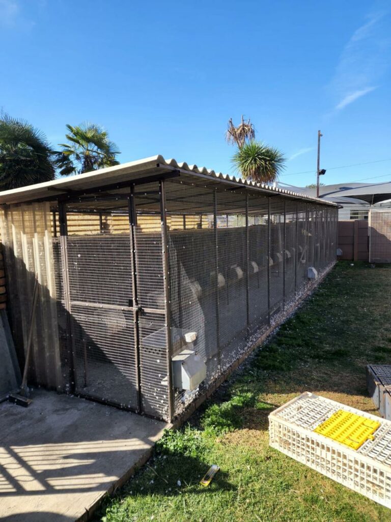 Lot 3 Very Practical 12 Single Breeding Pens – Ex Kitchenbrand Lofts ...