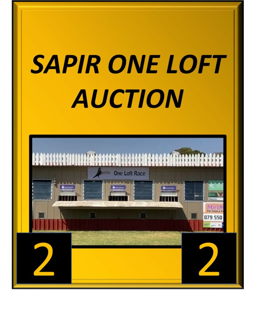 SAPIR AUCTION 2 & 3 NOW OPEN!!!!!!