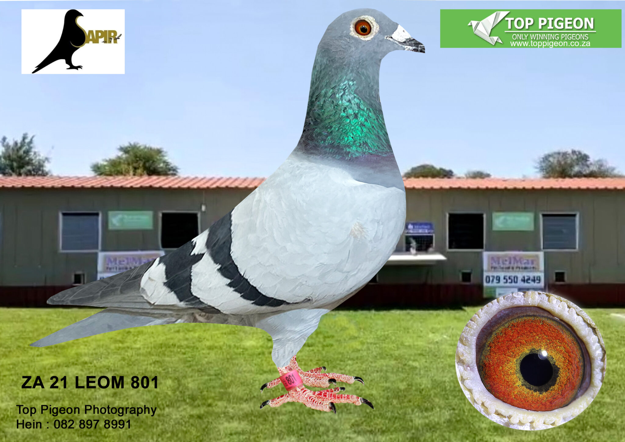 Lot 32 Sapir One Loft Auction-L & L Lofts-ZA 21 LEOM 801 BB H – 5th Hotspot 3 (EQUAL WINNER ...