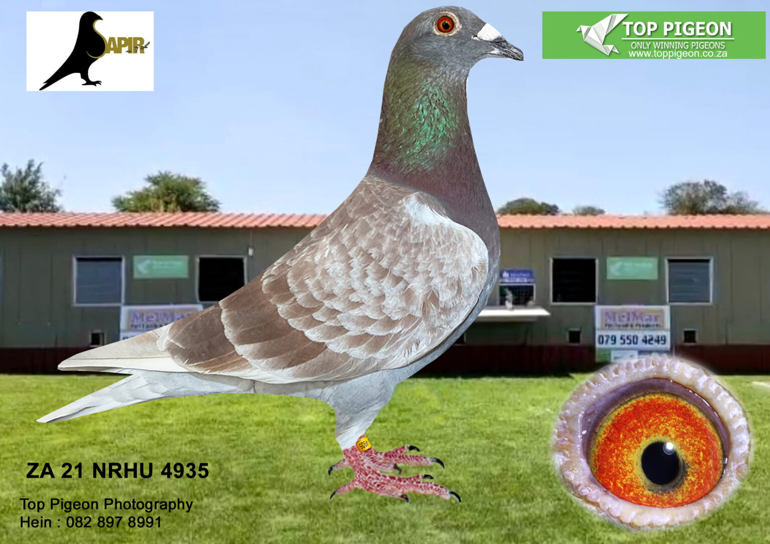 .Lot 1 Sapir One Loft Auction-JJM Lofts-ZA 21 NRHU 4935 R C – 12th Hotspot 1 , 3rd Hotspot 3 ...