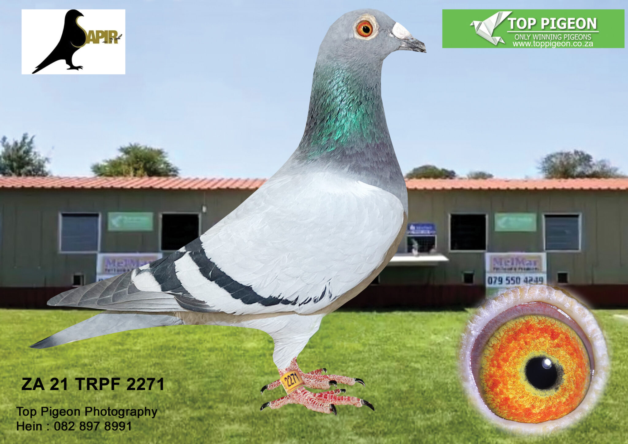 Lot 10 Sapir One Loft Auction-Samuel Loft 1- ZA 21 TRPF 2271 BB H ” SHELLY- ANN FRASER PRIYCE ...