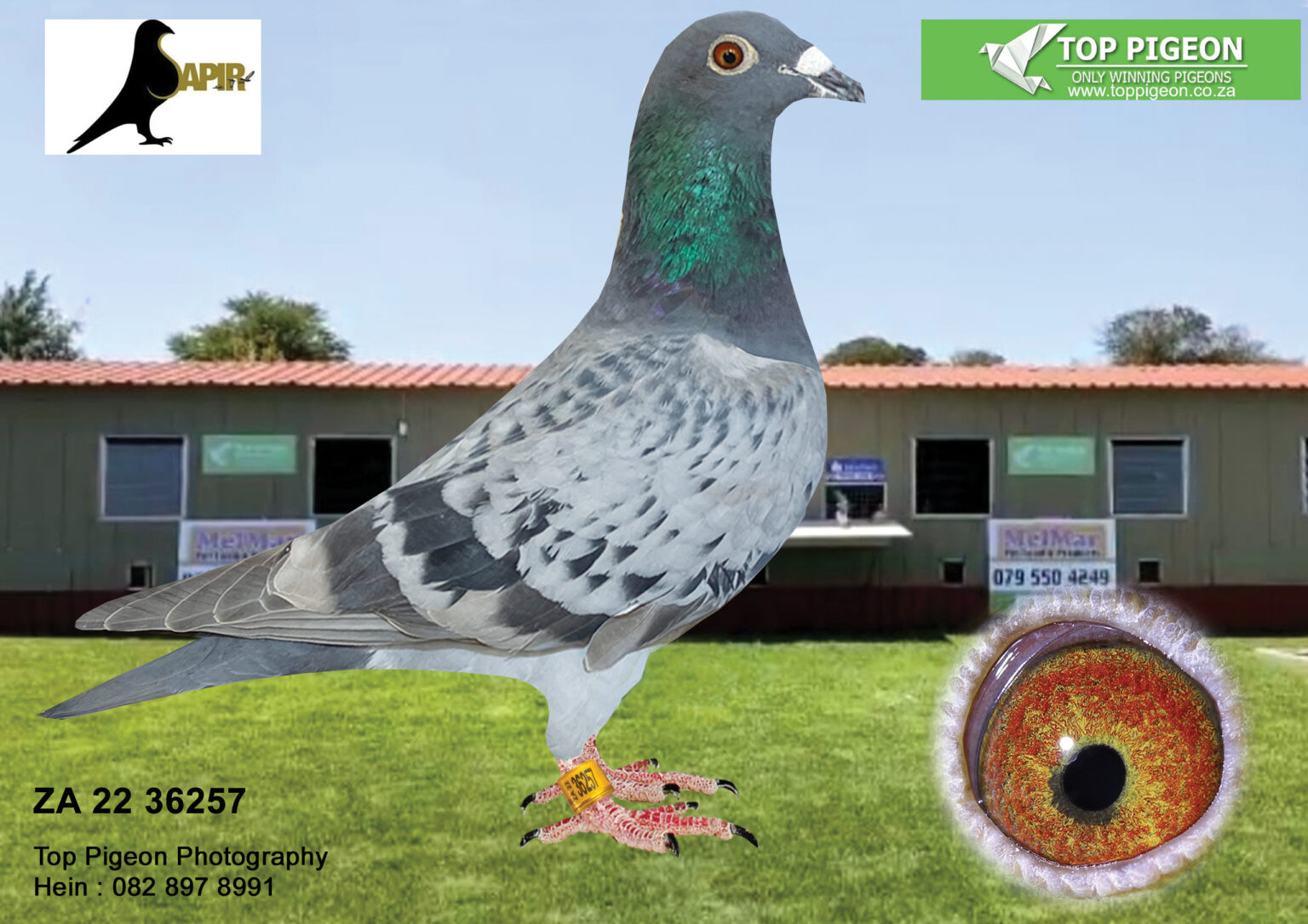 Lot 34 Sapir One Loft Auction-MC Dermott Lofts-ZA 22 36257 CH H – 3RD HOTSPOT 2 (EQUAL WINNER ...