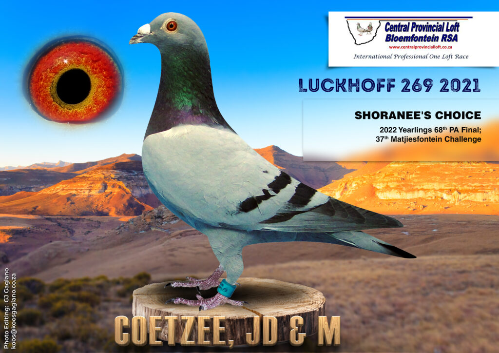 Lot 25 Central Lofts-JD & M Coetzee-LUCKOFF 269 21 BB C—–“SHORANEE’S ...