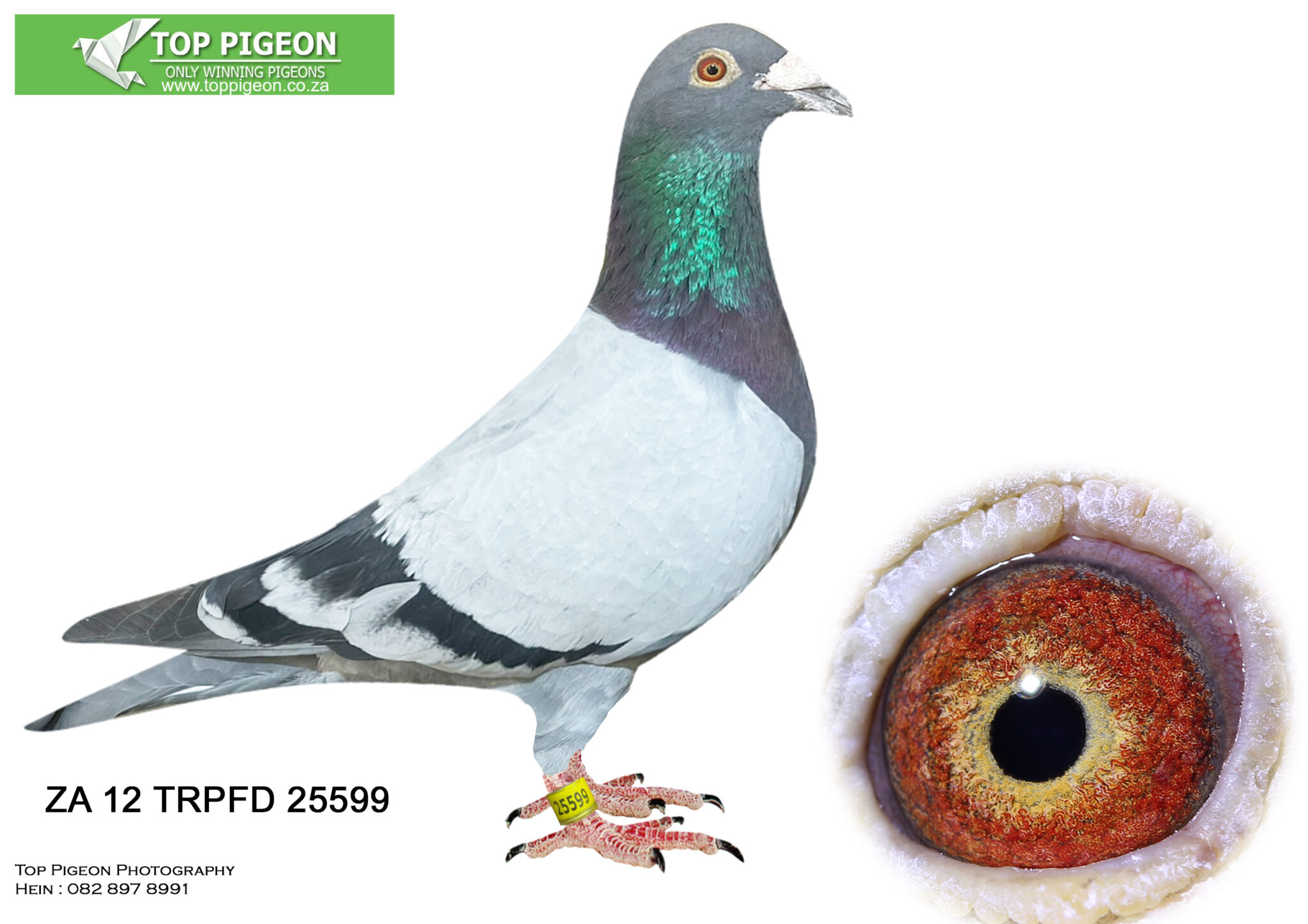 .LOT 3 HULLE WEET NIE WAT ONS WEET NIE 2 –ZA 12 TRPFD 25599 BB C – ——BRED BY KITCHENBRAND LOFTS ...