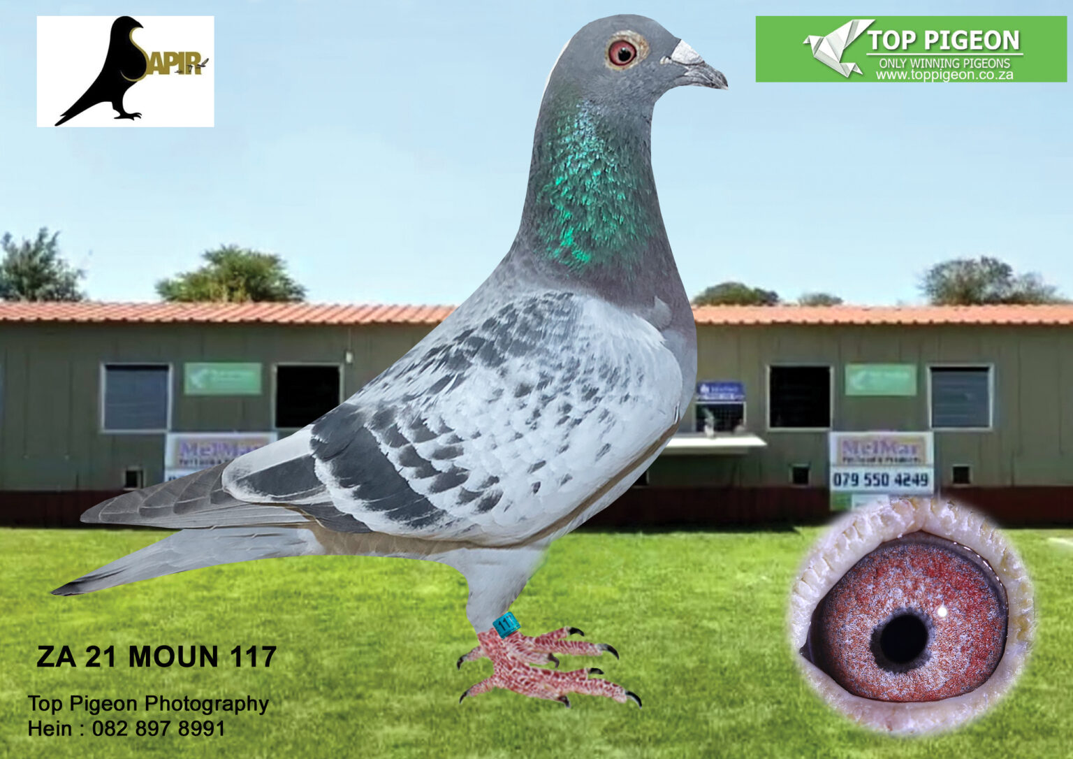 Lot 13 Sapir Auction 2-JJJ Lofts -MOUNT 117 21 CH C – 11th Challenge ...