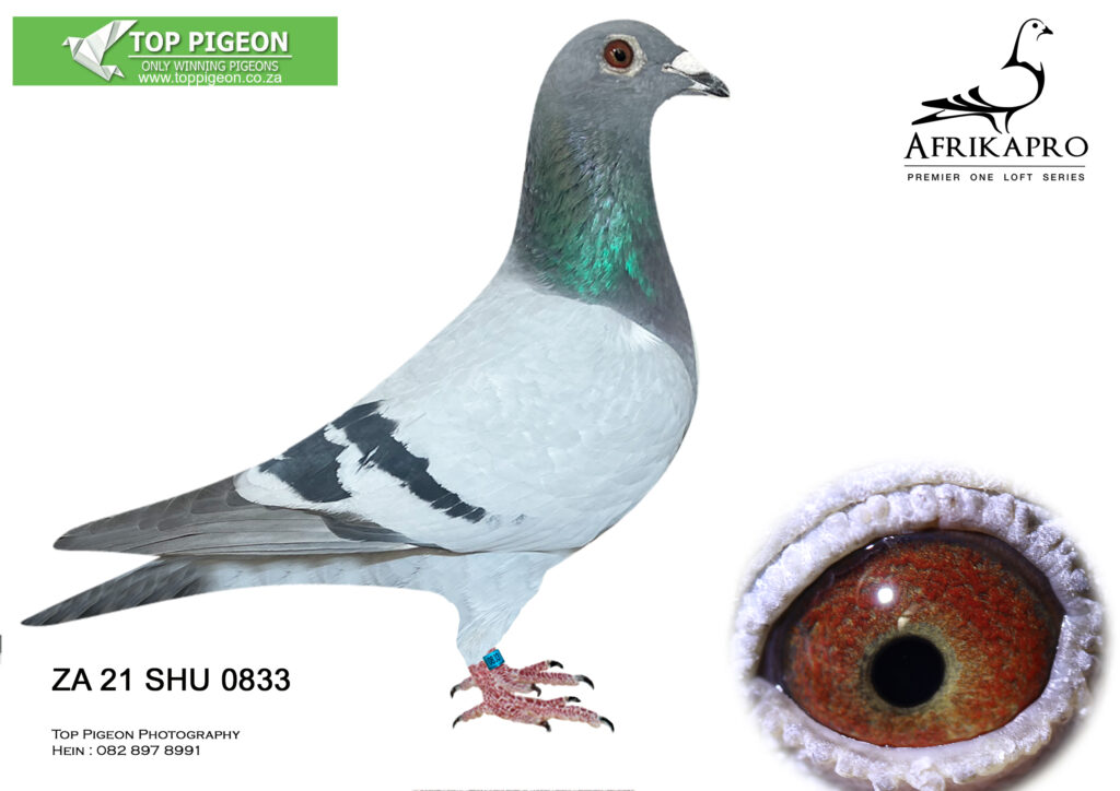 Lot 45 AFRIKAPRO Auction-RMG Racing-ZA 21 SHU 0833—-QUEEN ELIZABETH ...