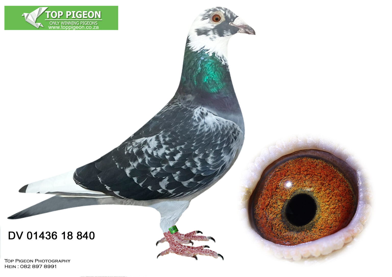 LOT 47 BENEKE LOFTS AUCTION 2-DV 01436 18 840 PD – Hardy Kruger ...