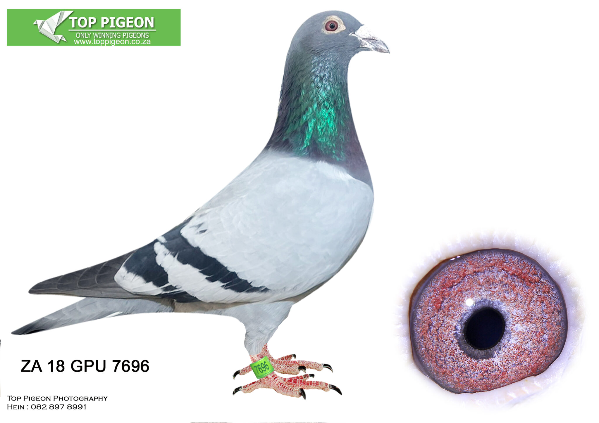 Lot 32 Kitchenbrand Lofts Auction 2-ZA 18 GPU 7696