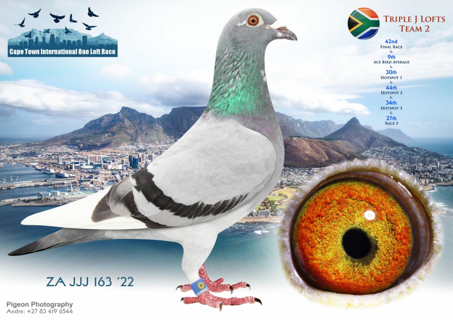 Lot 42 Cape Town Lofts-TRIPLE J LOFTS-ZA 22 JJJ 163 BBPD C–42ND Final.- 9TH ACE BIRD. — SIre: ZA ...