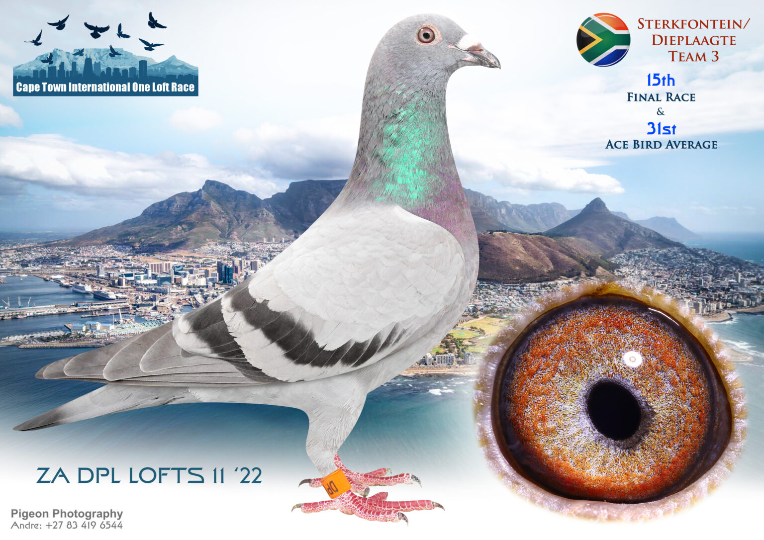 Lot 15 Cape Town Lofts-STERKFONTEIN DIEPLAAGTE TEAM 3-ZA 22 DPL LOFTS 11 BB H–15th Final- 31ST ...