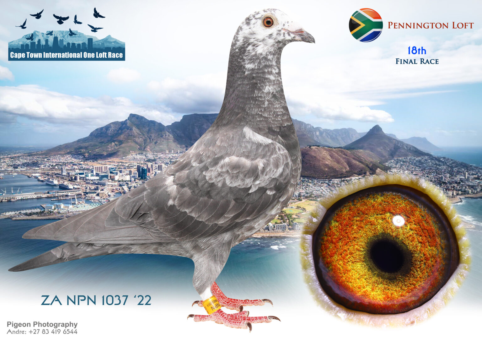 Lot 18 Cape Town Lofts-PENNINGTON LOFTS-ZA 22 NPN 1037 GRIZ H–18th Final- OSWALD/BOEING/KOOPMAN ...