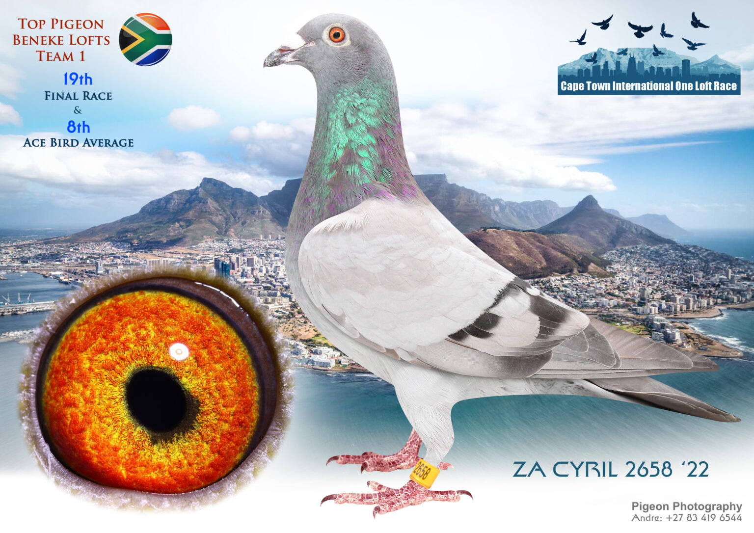 Lot 19 Cape Town Lofts-TOP PIGEON BENEKE LOFTS TEAM 1-ZA 22 CYRIL 2658 BB H–19th Final CTIOL ...