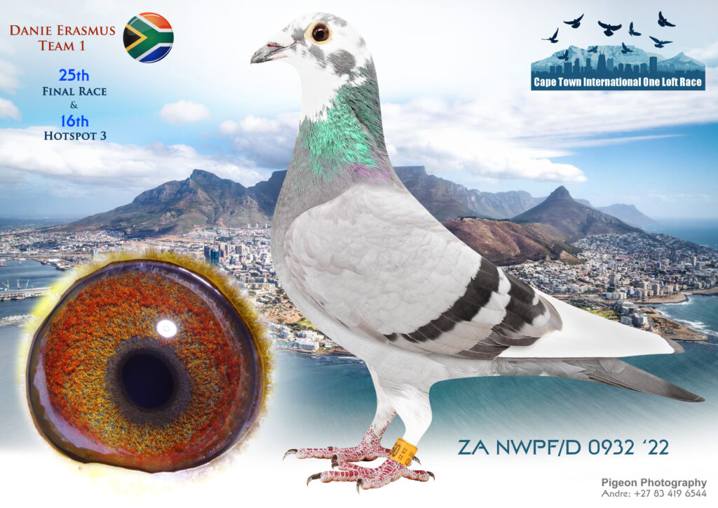 Lot 25 Cape Town Lofts-DANIE ERASMUS TEAM 1-ZA 22 NWPFD 0932 BBWF H – SAME WAY BRED AS 1ST ...