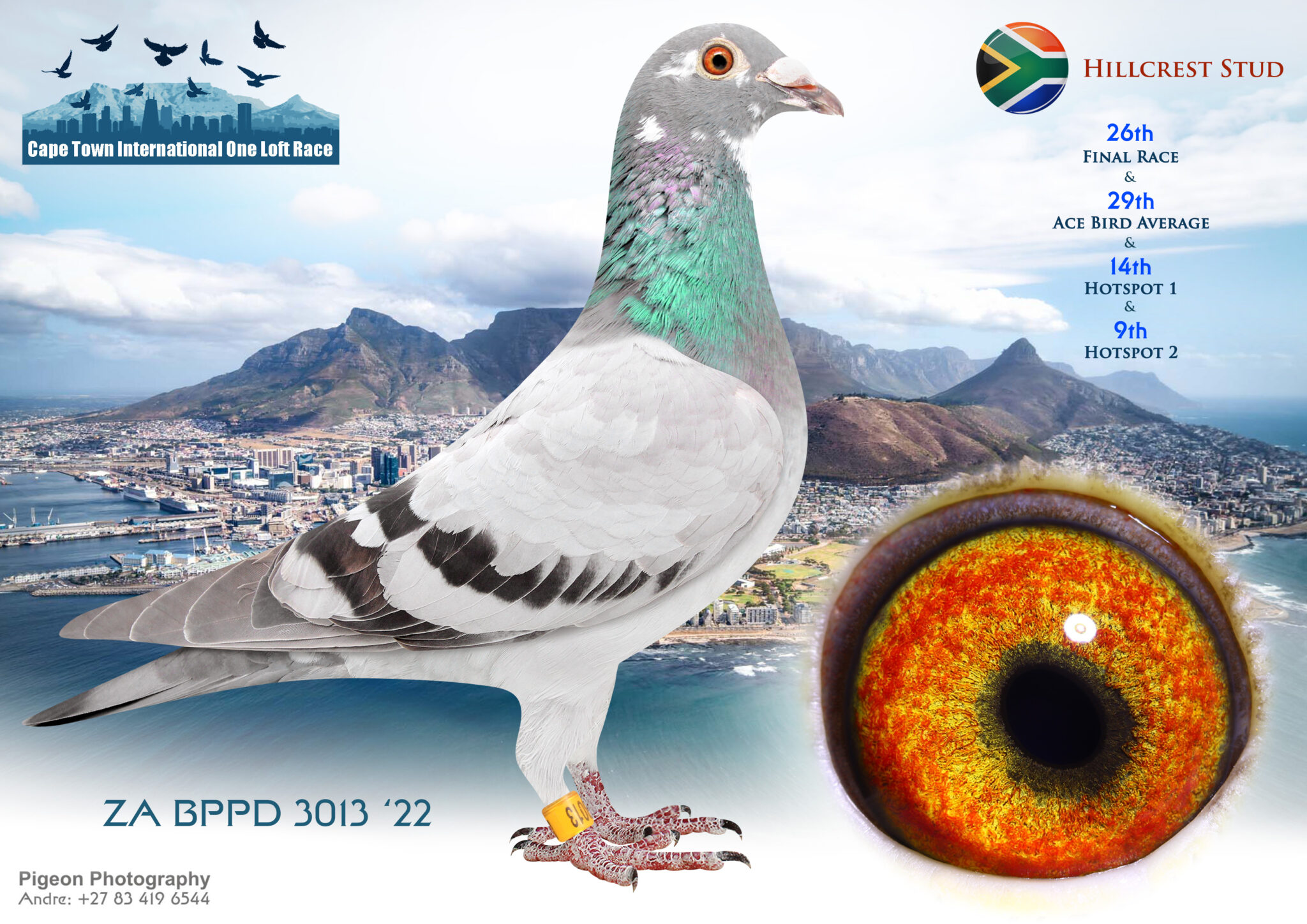 Lot 26 Cape Town Lofts-HILLCREST STUD-ZA 22 BBPD 3013 BBPD C – 26TH ...