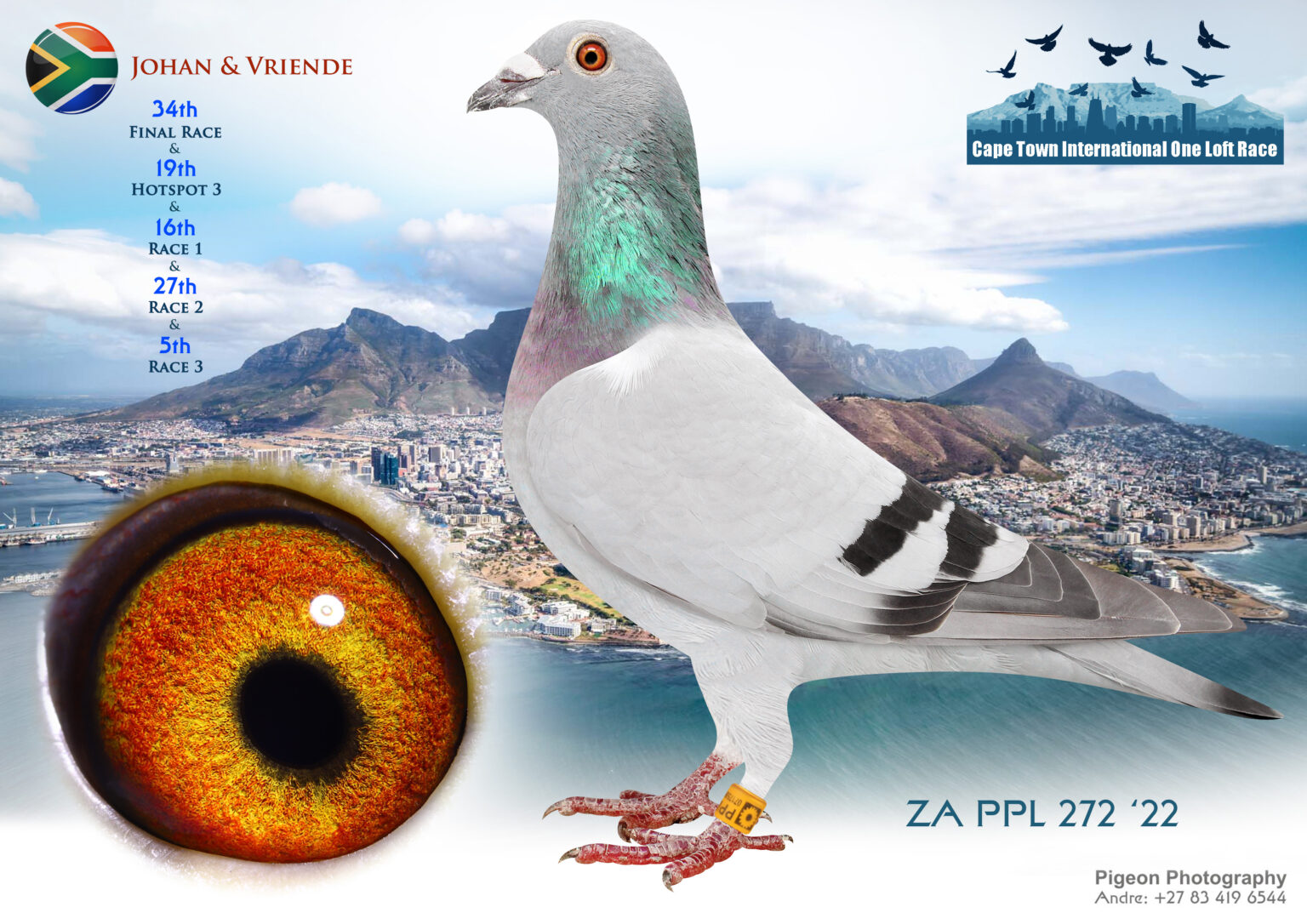 Lot 34 Cape Town Lofts-JOHAN & VRIENDE-ZA 22 PPL 272 BB H–34TH FINAL. – In her pedigree you will ...