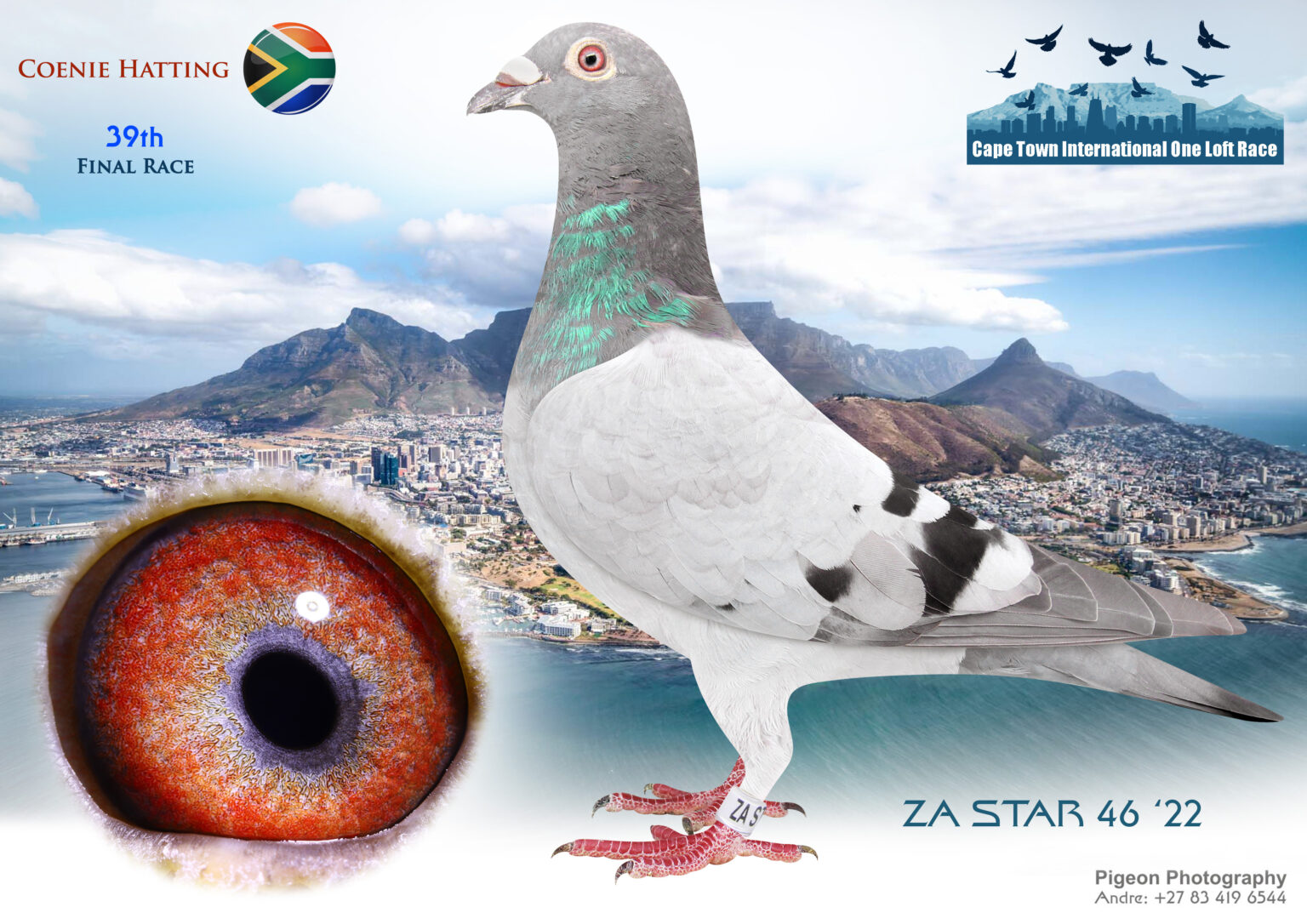 Lot 39 Cape Town Lofts-COENIE HATTINGH-BRED BY SILVER STAR LOFTS-ZA 22 STAR 46 BB H–39TH Final ...