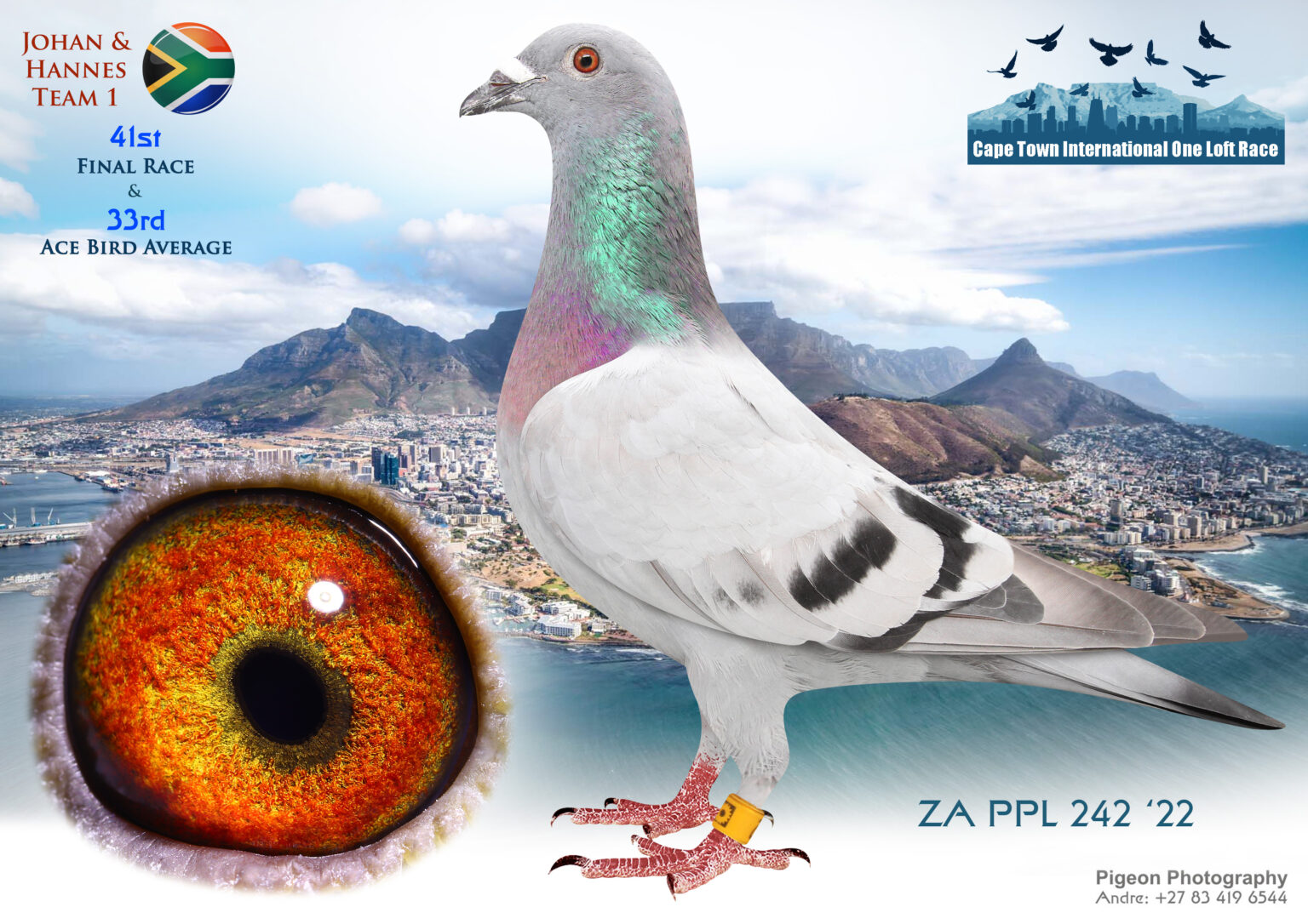 Lot 41 Cape Town Lofts-JOHAN & HANNES TEAM 2-ZA 22 PPL 242 BB H–41ST FINAL.– Her Sire flew 23 in ...