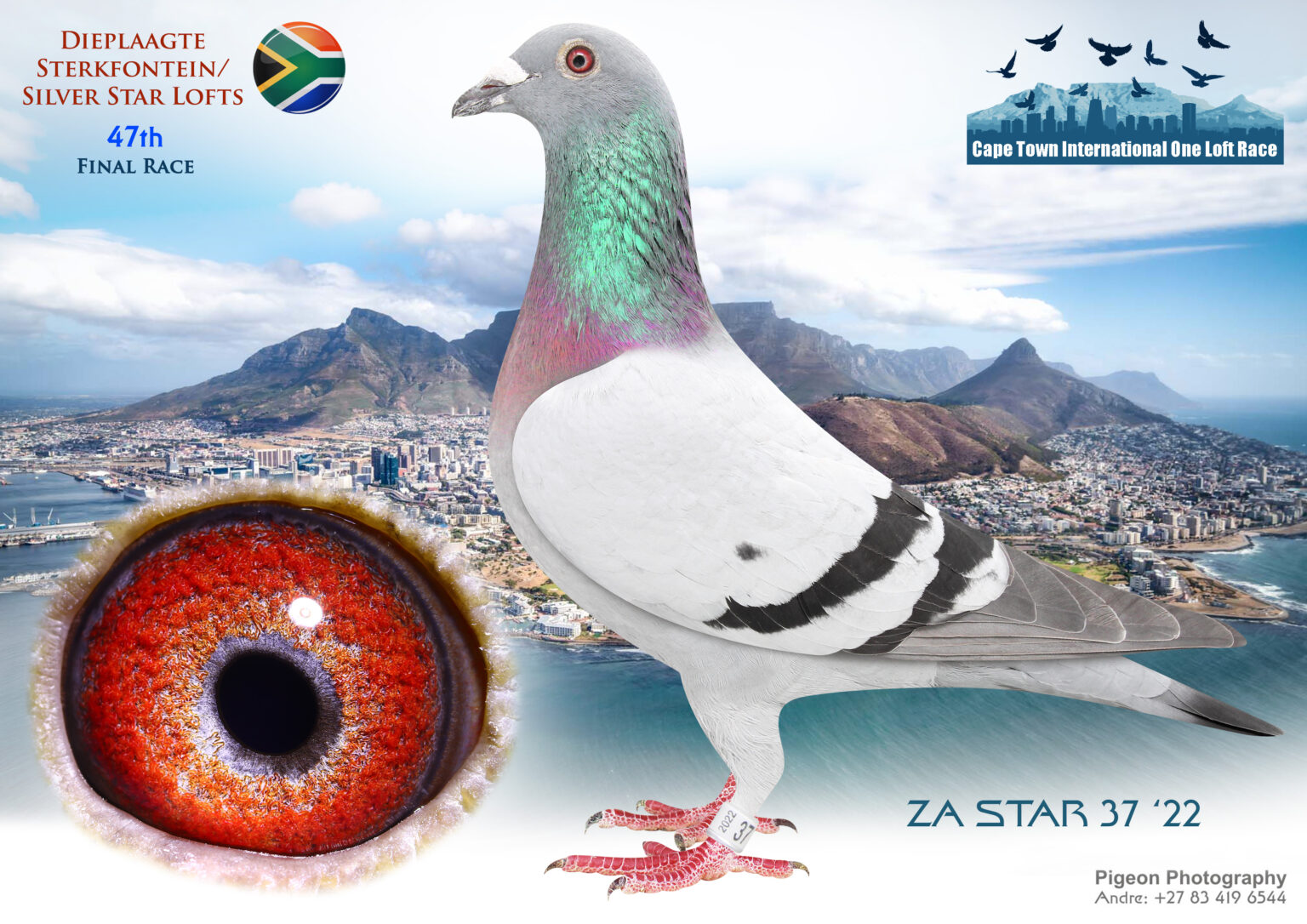 Active Auction-GJT Lofts – From 27 April until Sunday 30 April 2023 (Ends from 13:00)