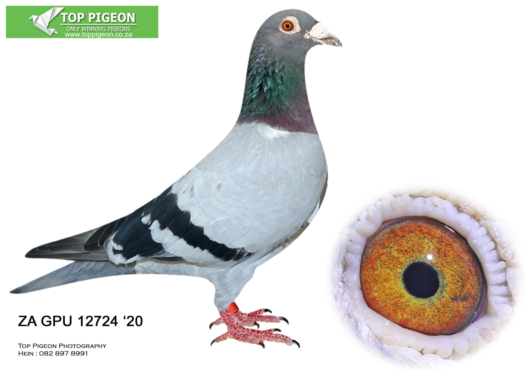 Lot 17 Kitchenbrand Lofts Auction 5-ZA 20 GPU 12724 – Raced by ...