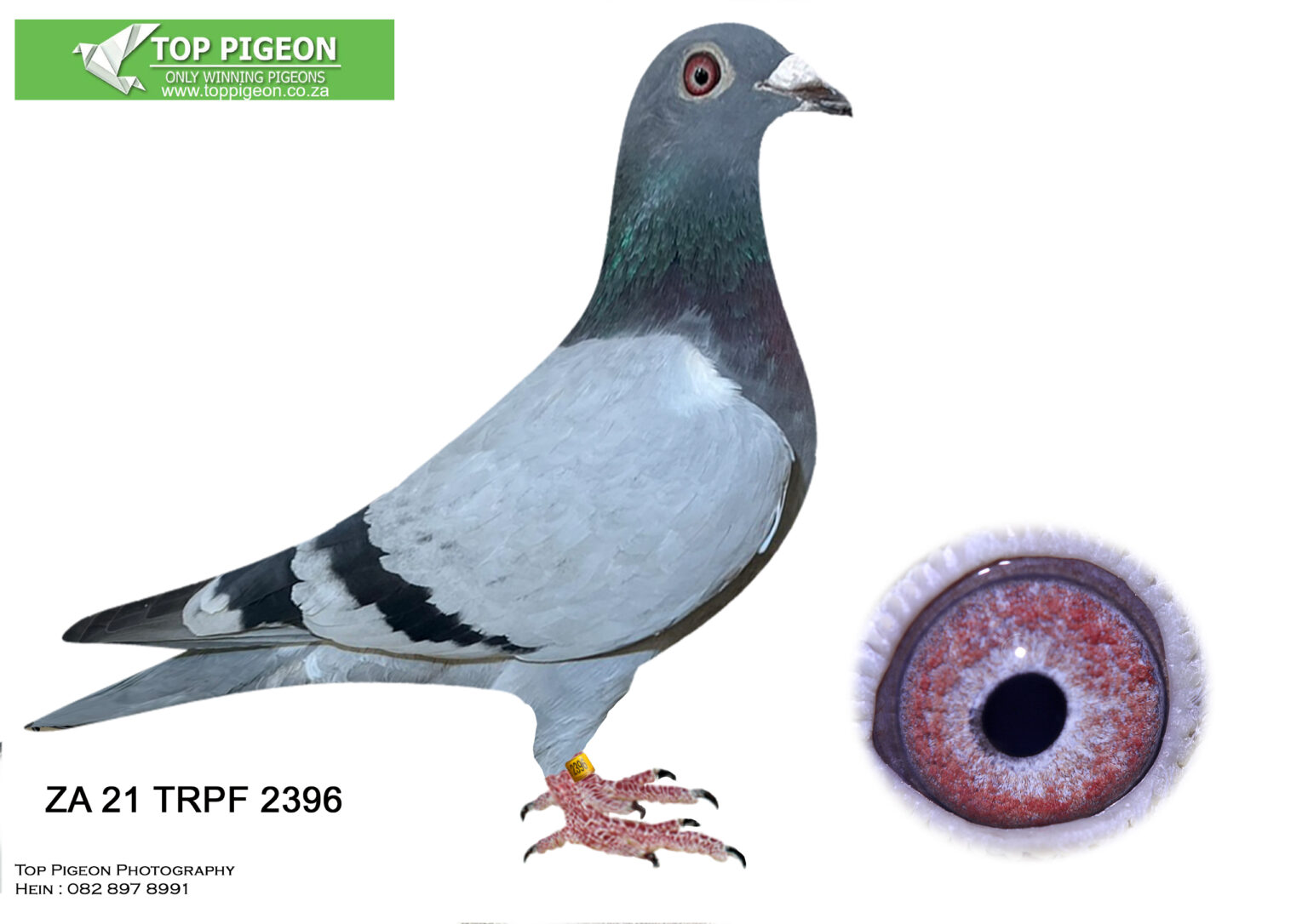 Lot 21 Kitchenbrand Lofts Auction 4-ZA 21 TRPF 2396