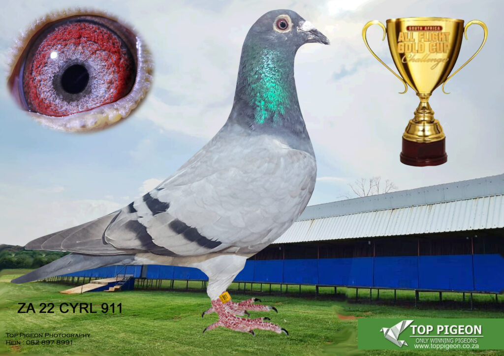 Lot 42 Carnival Summer Auction-JIANG ZHANG-ZA 22 CYRILS 911 BB – 9TH ...