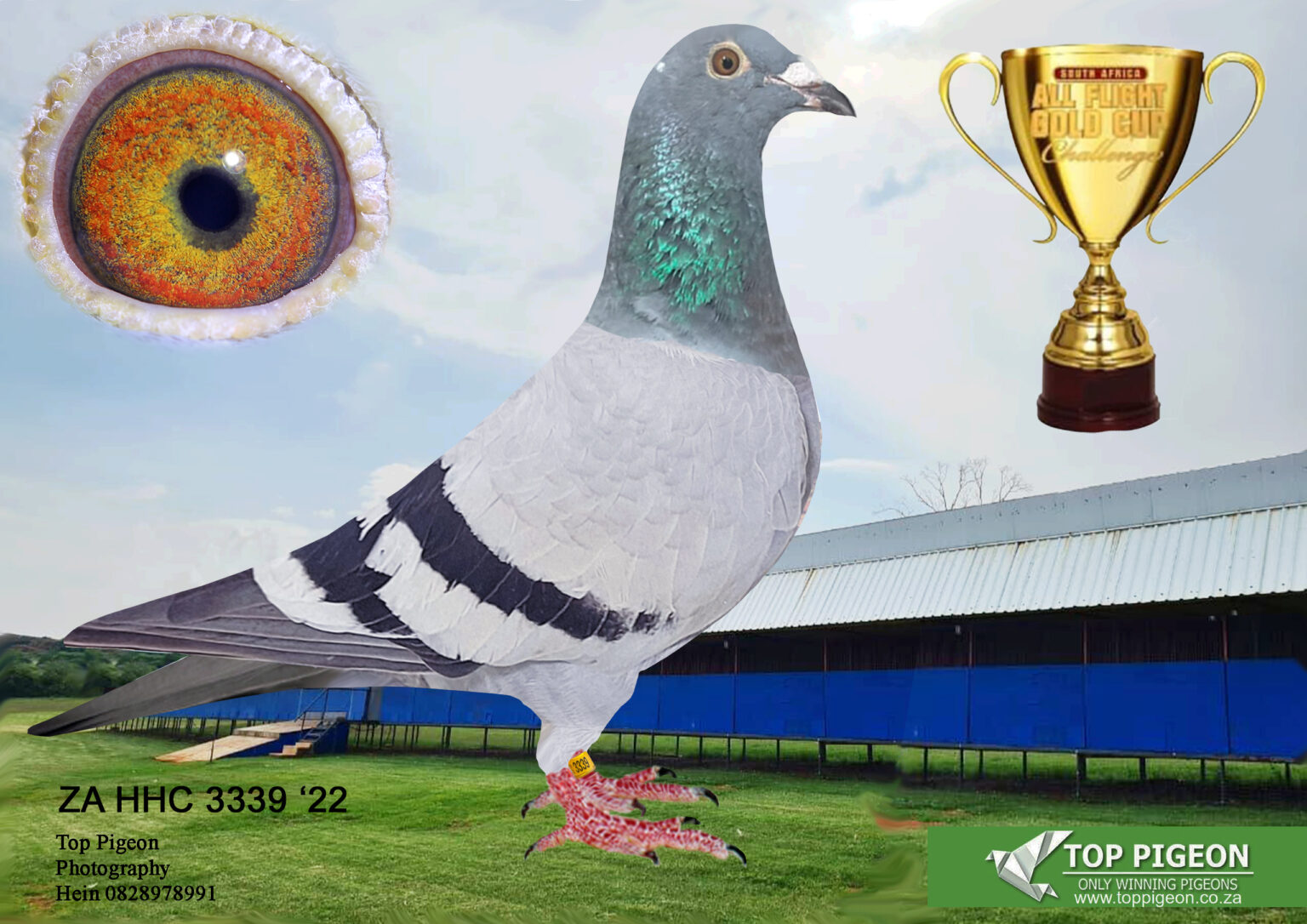 Lot 10 Carnival Summer Auction-DAVE GILBERT-ZA 22 HHC 3339 BB – 27TH MAIN RACE WINNER (WINNING ...