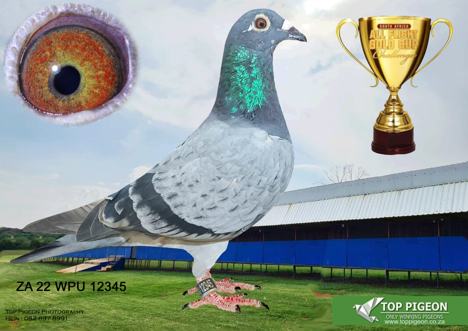 Lot 25 Carnival Summer Auction-GERMAN CONNECTION-ZA 22 WPU 12345 BB ...