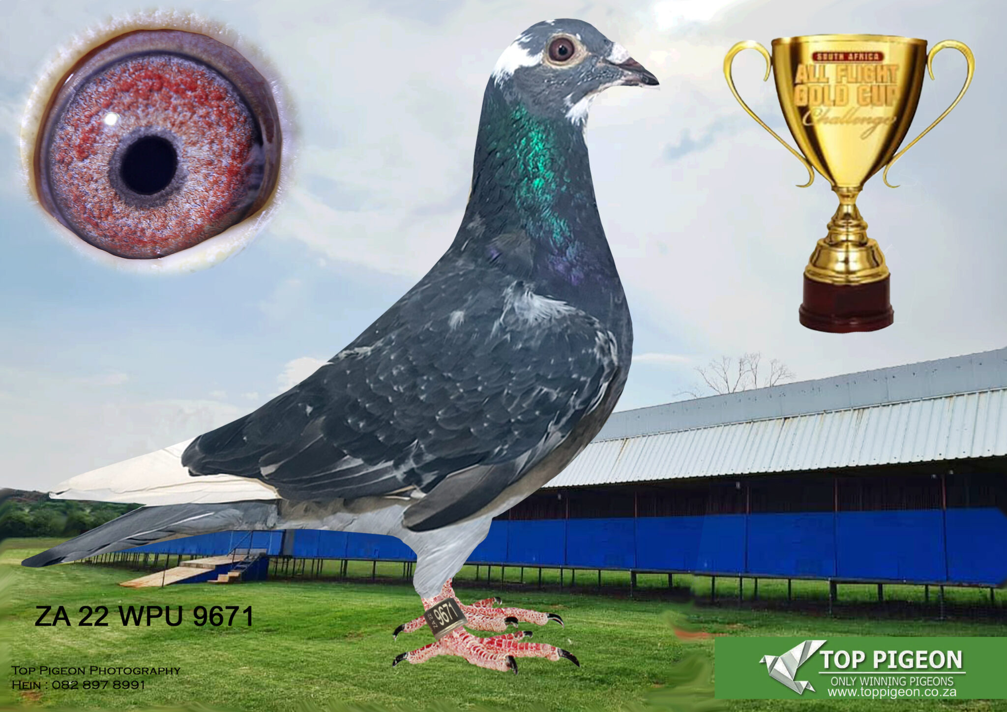 Lot 49 Carnival Summer Auction-PH ZA 22 WPU 9671 BCP –7TH FINAL WINNING ...