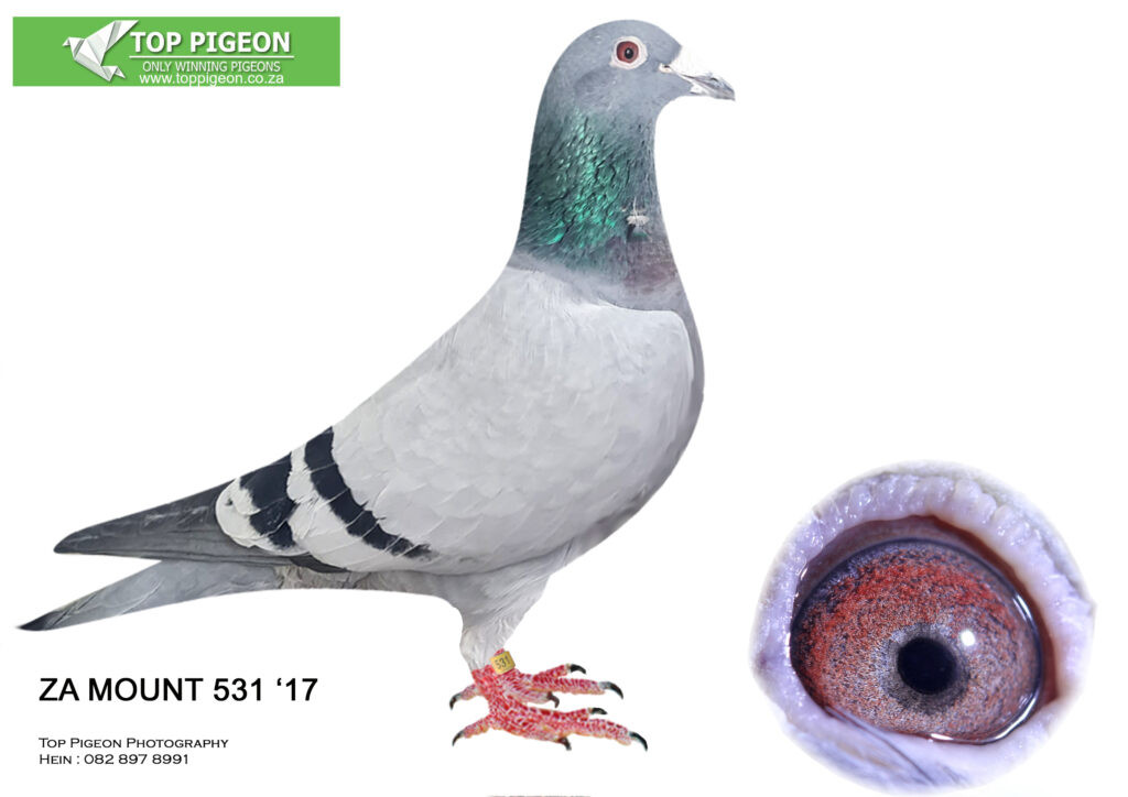 Active Auction-GJT Lofts – From 27 April until Sunday 30 April 2023 (Ends from 13:00)